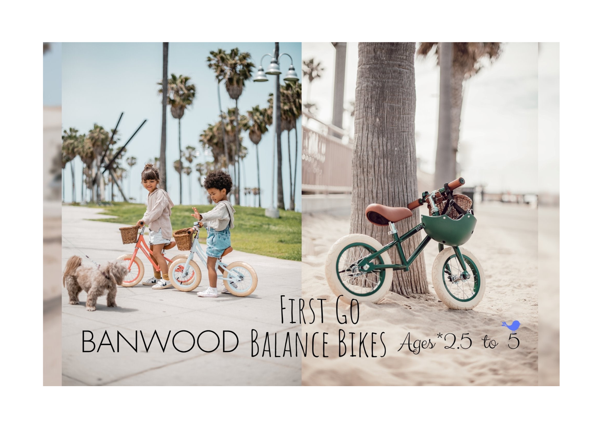 Banwood First Go Balance Bike – Classic First Bike - Alder & Alouette