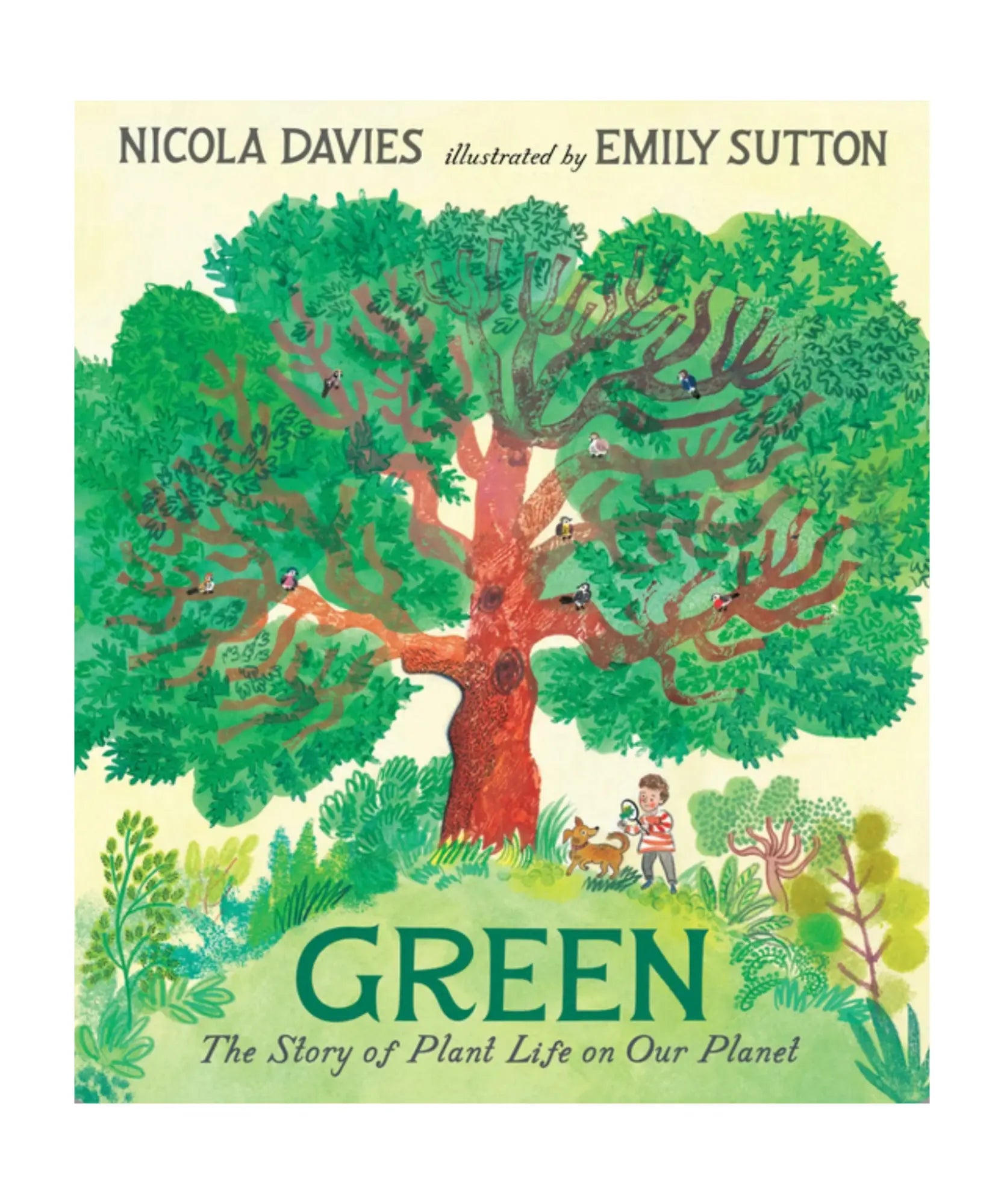 Green - A Poetic Plant Science Picture Book by Nicola Davies – Alder ...